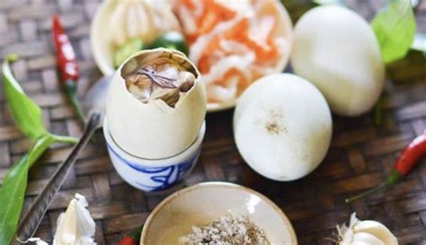 The Balut Culture In Vietnamese Culture A Comprehensive Review