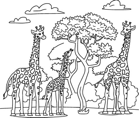 Giraffe Coloring Pages 100 Free Printable And Fun