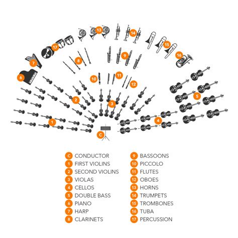 Instruments Of The Orchestra Gear4music