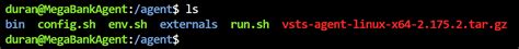 azure devops agent on linux 安裝流程說明 install linux agent