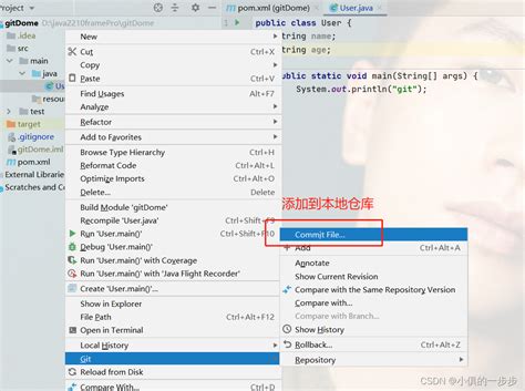 如何在idea可视化工具中使用git （github和gitee操作 以及idea分别操作） 编程库