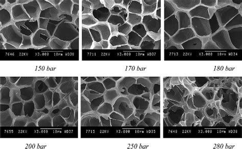 Sem Micrographs Of Pmma Foams Loaded With 8 Wt Mwnts Prepared At