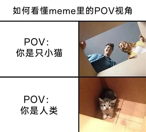 如何看懂meme里的pov视角 梗图网 Ai梗图搜索引擎与百科