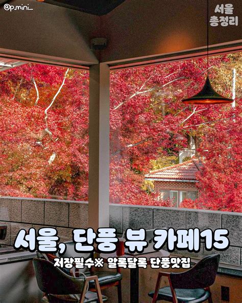 팝업스토어 서울팝업 전시회 공연 문화 저장필수 🍂알록달록 단풍 뷰 카페 총정리 서울에서 이런 단풍맛집 카페가 있다고~ 가을은 짧고 가야 할 카페는 많으니 저장해두고