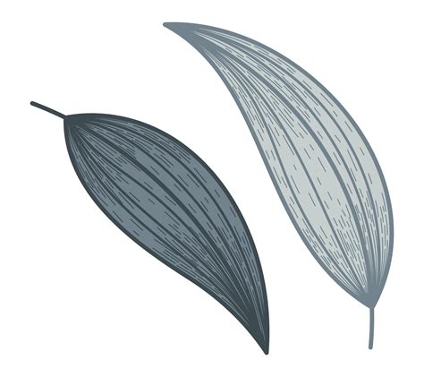 Isolated Decorative Vector Flat Leaf Sketch Style 31764589 Vector Art At Vecteezy