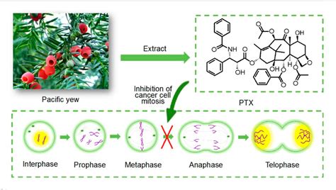 Figure 1 From Electrospun Self Emulsifying Core Shell Nanofibers For Effective Delivery Of