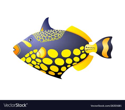 Triggerfish Royalty Free Vector Image Vectorstock