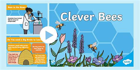Bees PowerPoint Teacher Made Twinkl