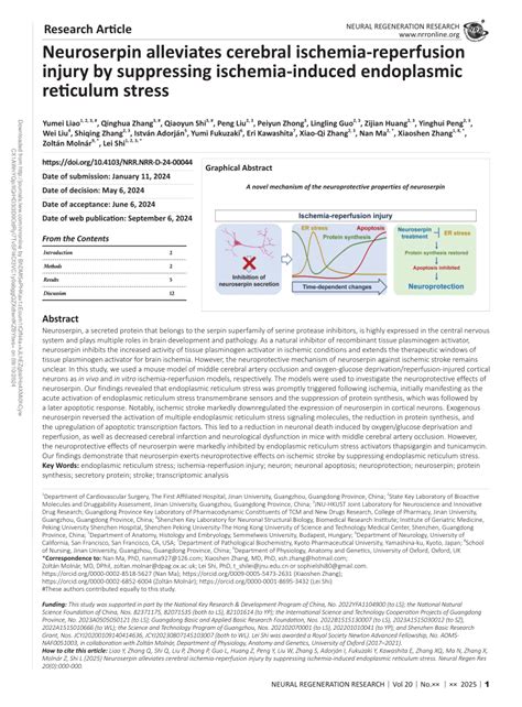 Pdf Neuroserpin Alleviates Cerebral Ischemia Reperfusion Injury By