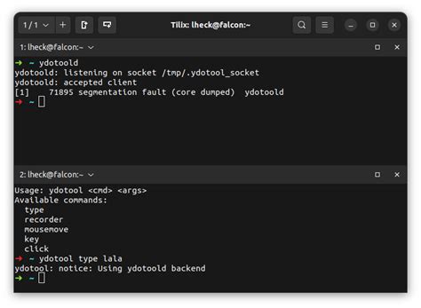 Manual Tutorial Help Issue ReimuNotMoe Ydotool GitHub
