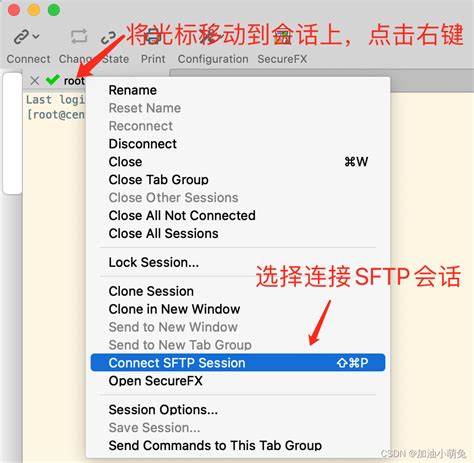 mac使用securecrt工具上传文件至远程服务器、下载文件至本地 securecrt下载文件到本地 csdn博客