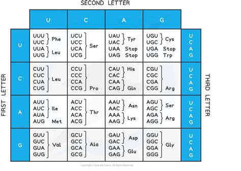Anticodon Chart