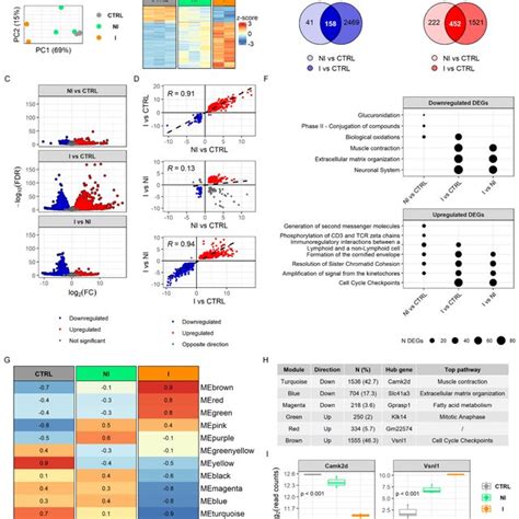 gene expression profiling of mouse bladder cancers a principal