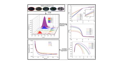 Multifractal Characteristics Of Low Field Nuclear Magnetic Resonance Of