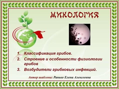 Личинки. Микология - online presentation