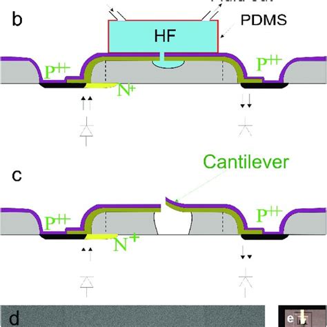 Monolithic Optocoupler And Cantilever Development Steps A Schematic