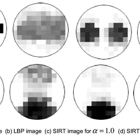 Simulation Using The Lbp And Sirt Algorithms Download Scientific Diagram