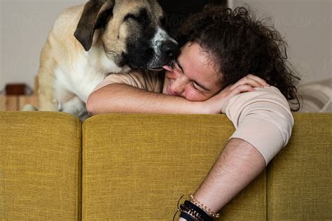 Dog Sucking Teenagers Face At Home By Stocksy Contributor Eloisa
