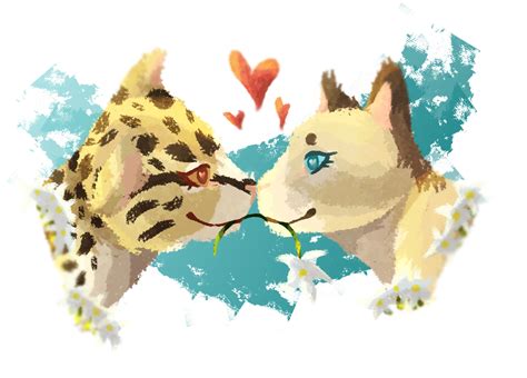 Sasha And Tigerstar