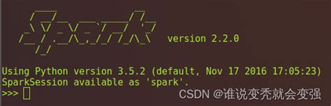 林子雨 VirtualBox + Ubuntu[linux] 配置 java、hadoop、Spark[python]、pyspark快速配置流程_filezilla 林子雨-CSDN博客