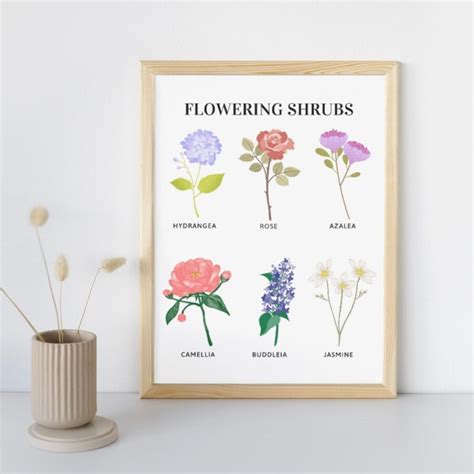 Flower Identification Guide Art Etsy