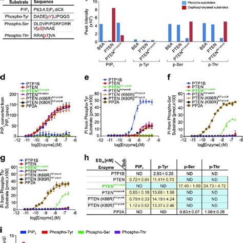 K27 Linked Polyubiquitination Modulates Pten Phosphatase Activity A