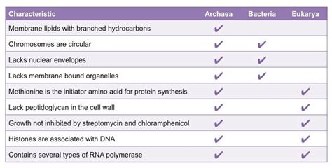 Bacteria And Archaea Biology
