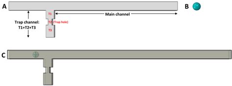 Development Of A Finite Element Simulation Parts For A Single Cell