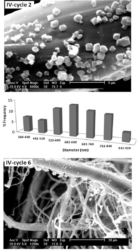 sem photographs and the corresponding particle size distribution