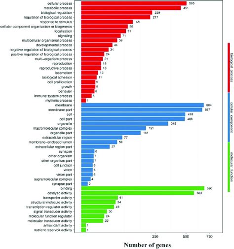 Bar Plot Of Enriched Go Terms Of Degs The Vertical Axis Represents The Download Scientific