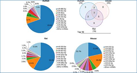 Characterization Of Serum Small Extracellular Vesicles And Their Small