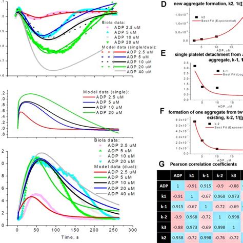 Aggregation Of Platelets In Response To Adp А Activation Of Download Scientific Diagram