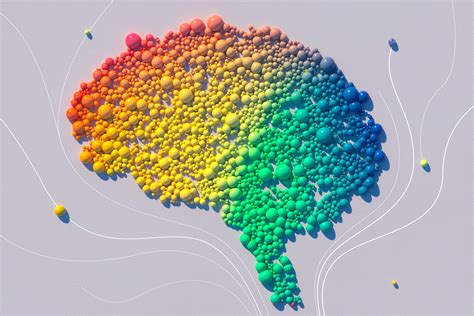 Executive Brain Function