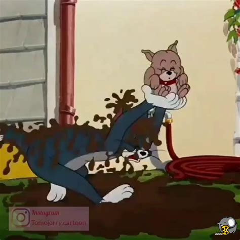 تام جری ی فیلم به یاد ماندنی زیبا فیلو