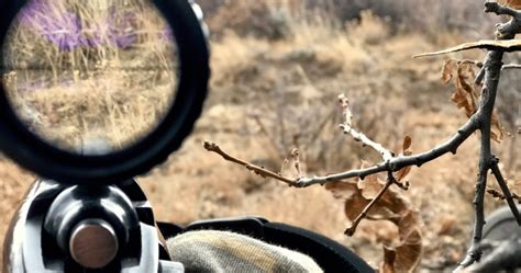 The Ultimate Guide To Choosing The Perfect Rifle Scope For Every Shooting Scenario Optis
