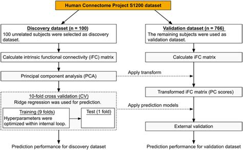 Schematic Diagram Of The Procedure For Constructing The Life Download Scientific Diagram