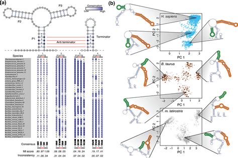 Shape Reactivities Can Help Identify Conservation Of Multiple Rna