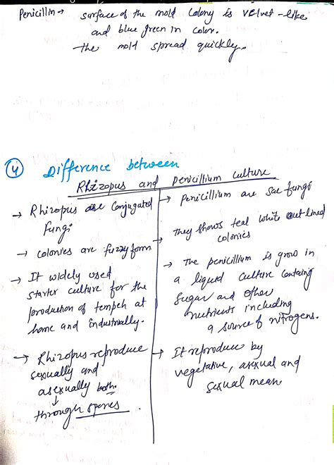 [solved] 2 When Looking At The Plasmodium Spp Slide What Are The Pale Red Course Hero
