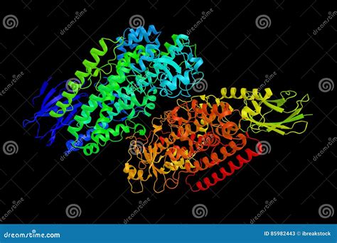Lipoxigenase Do Arachidonate 5 Uma Enzima Decontenção Do Não Heme Imagem De Stock Imagem De