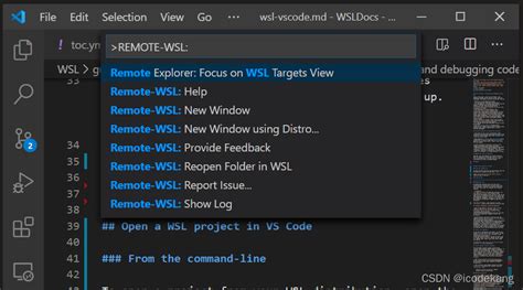 Vscode远程wslvscode进入wsl Csdn博客