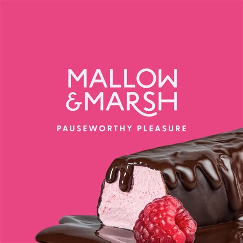 Dark Chocolate Over Raspberry Mallow Bar Mallow And Marsh