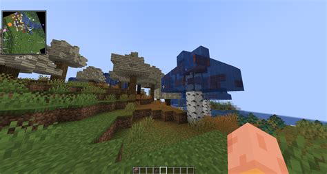 Bug Entities And Blocks Are Shown Randomized On Clientside · Issue