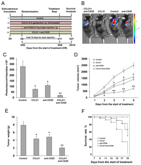 A Schematic Representation Of Experiment Protocol Described In Download Scientific Diagram