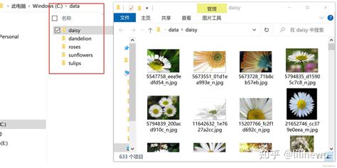 手把手教你使用TensorFlow训练出自己的模型 知乎