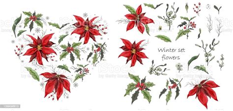흰색 배경에 고립 된 꽃다발 가지 및 꽃의 손으로 그린 세트 현실적인 식물 원소 현대 꽃 겨울 철에 꽃 장식 초대장 인사말 카드 휴일 빈태그 0명에 대한 스톡 벡터 아트 및