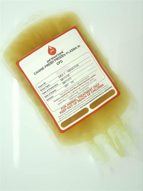 How To Source Fresh Frozen Plasma Ffp Powder For Reconstitution Or