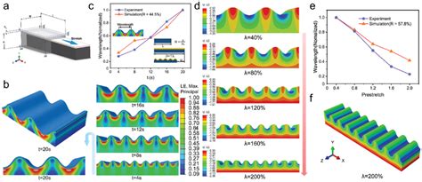 Finite Element Fe Simulation Of The Self‐wrinkling Deformation And
