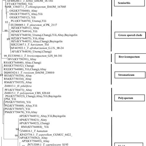 Pdf Biodiversity Of Trichoderma From Grassland And Forest Ecosystems In Northern Xinjiang China