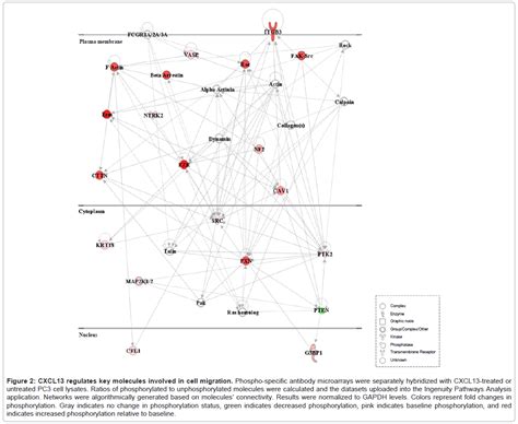 Antibodies Microarray Analysis At Amber Polk Blog
