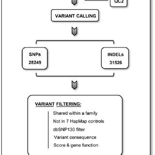 Summary Of The Data Analysis Pipeline Followed In The Present Study Download Scientific